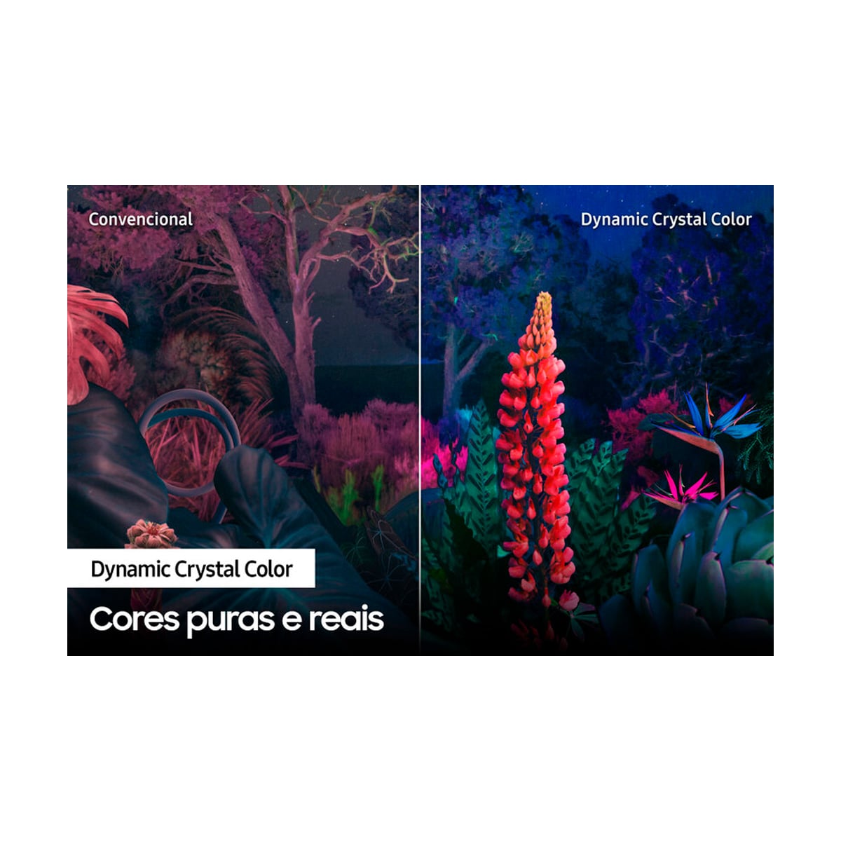 Samsung Smart TV 65 polegadas Crystal UHD 4K 65CU8000 2023 - lojaibyte