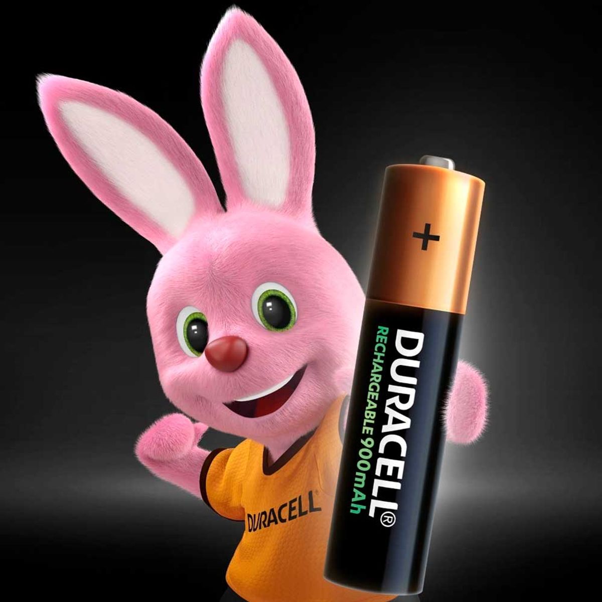 Pilha Recarregavel Duracell AAA 9000mAh com 2 Unidades - lojaibyte